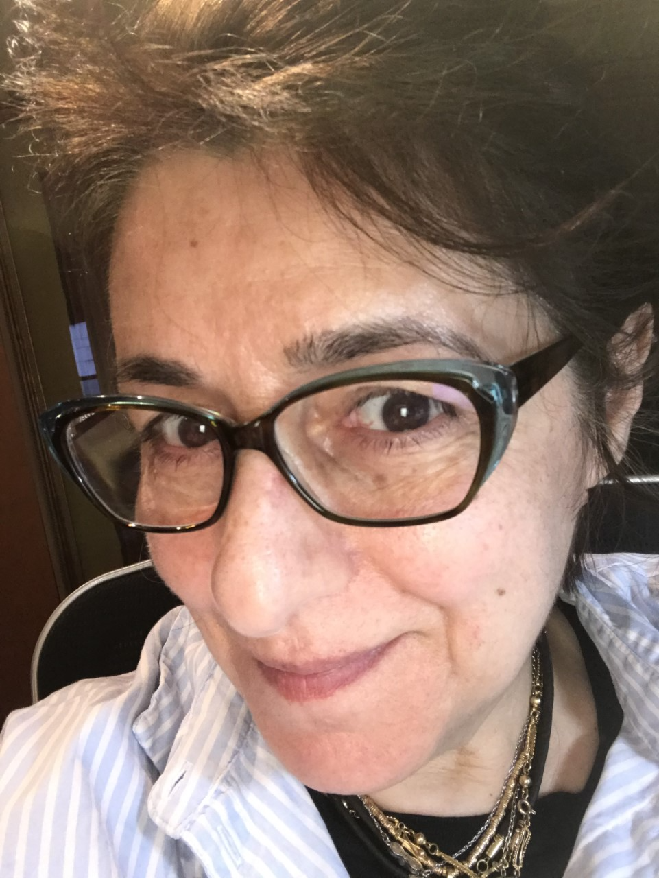 Neguin Yavari | Oxford Nizami Ganjavi Centre